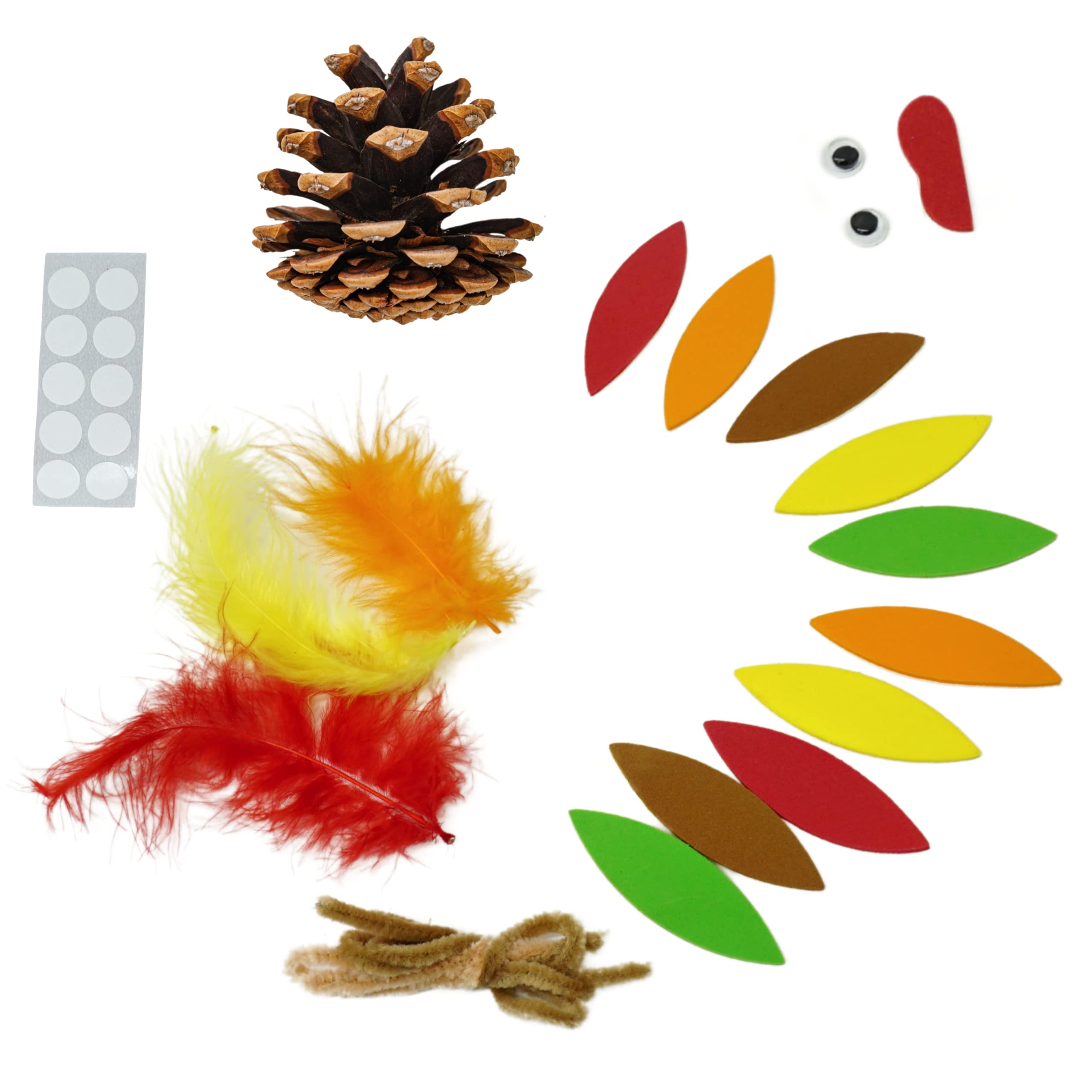4E's Novelty Pinecone Turkey Craft Kit (12 Pack) DIY Thanksgiving Crafts for Kids, Teens, Adults, Thanksgiving Dinner Activity, Classroom Project, Table Centerpiece Decorations