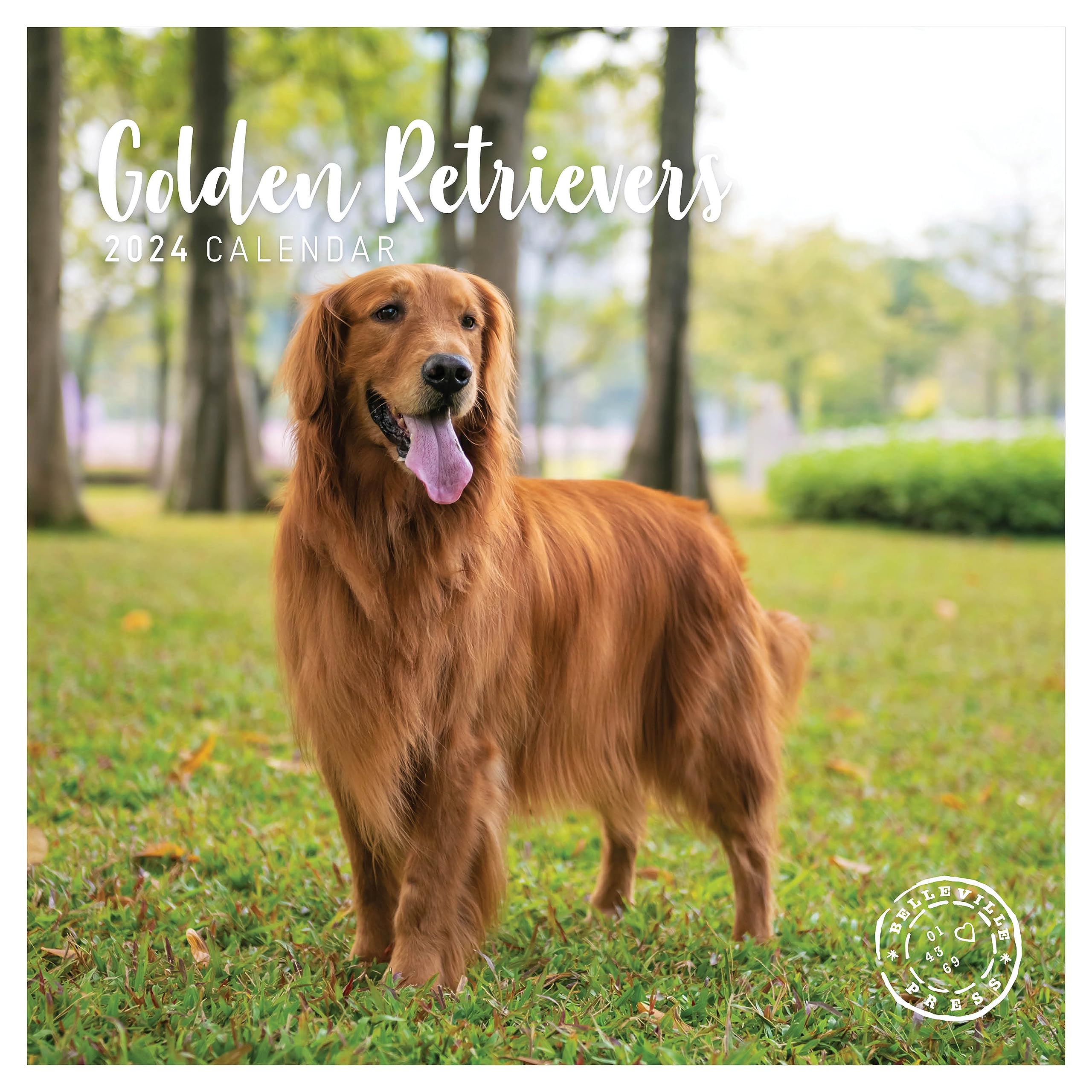2024 Golden Retrievers Monthly Wall Calendar by Bright Day, 12 x 12 Inch Cute Dog Breed Gift