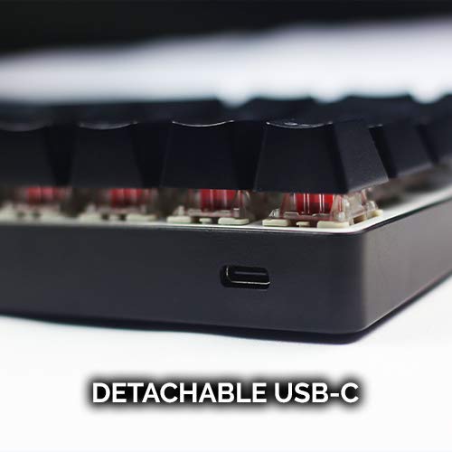 Whirlwind FX Atom 60% Gaming Keyboard: Interactive and Customizable Lighting β Immersive, Reactive RGB Experience (Brown Tactile)