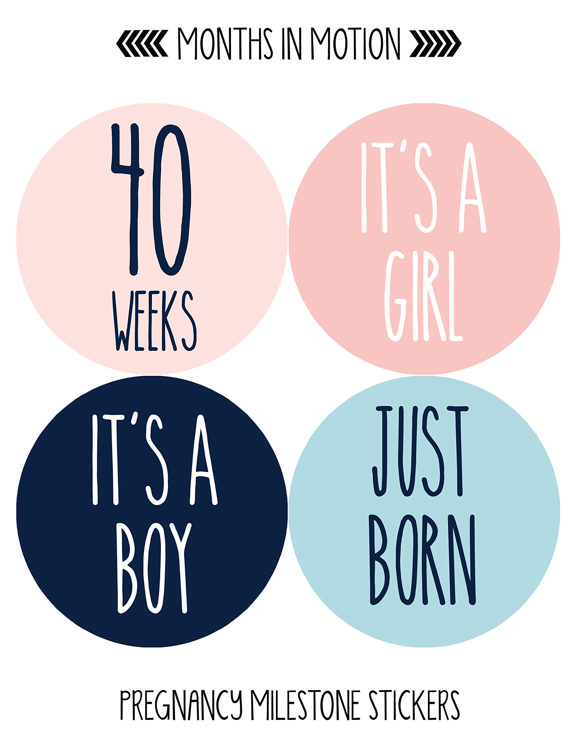 Months In Motion Weekly Pregnancy Growth Stickers | Week to Week Pregnant Expecting Photo Prop | Maternity Keepsake | Baby Bump | Weekly Stickers (Set of 36 Stickers)