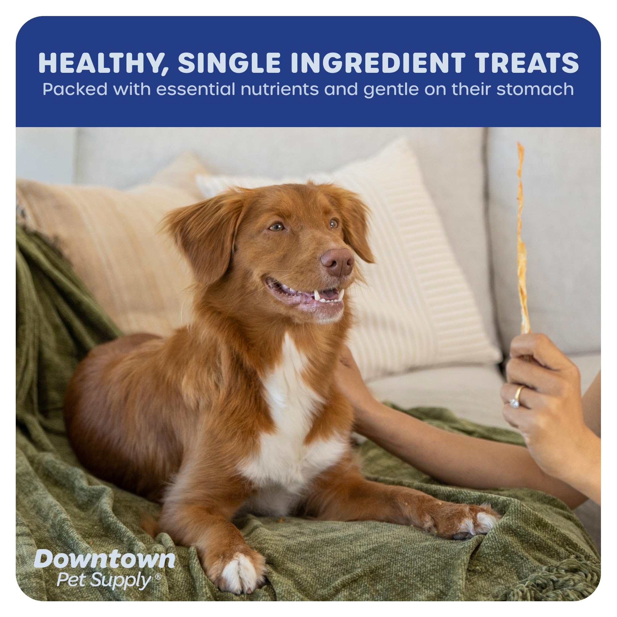 Downtown Pet Supply 12" Turkey Tendons for Dogs Made in USA, 10 Pack - Rawhide Free Dog Chews Long Lasting and Non-Splintering - Single Ingredient, Nutrient-Rich Tendon Chews for Dogs