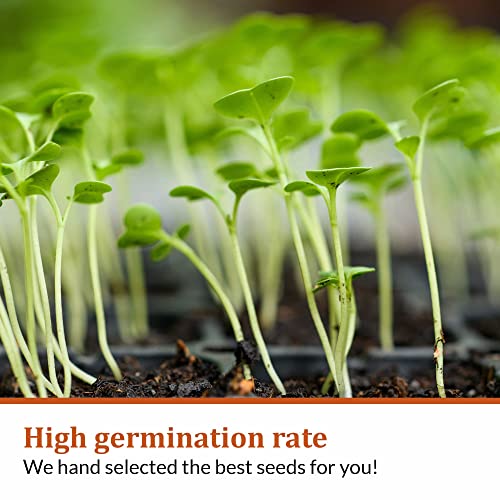 8 Heirloom Lettuce Seeds for Planting Indoors | 1200+ Non-GMO Leafy Greens Seed: Romaine Iceberg Butter Lettuce Seeds, Kale Spinach Arugula Seeds | Seeds for Hydroponic Garden Indoor Microgreens