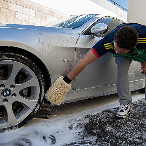 Chemical Guys ACC144 Bear Claw Scratch Free Premium Wash Mitt, 1 Pack