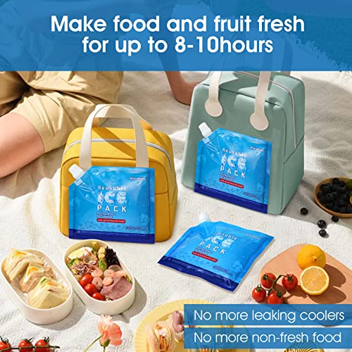 5-Packs Bulk Reusable ice Pack for Cooler Lunch Bags Lunchbox Cooler Backpacks Long Lasting Freezer Packs Cooler Accessories (for Lunchbox 7.5 x 6.5 inch)