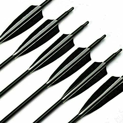 33" Archery Carbon Arrows W/Real Turkey Feather SP500 F Recurve Bow Hunting (12Pcs)