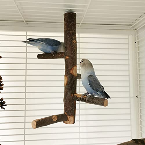 kathson Parrots Perch Natural Fruit Wood Stand Toy Branch Paw Grinding Standing Climbing Toy Cage Accessories for Small and Medium Birds,Parakeets,Lovebirds,African Grey,Cockatiels