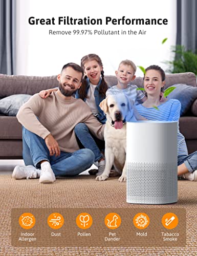 Air Purifiers with H13 HEPA Air Filter, Air Purifier for Large Room up to 430 ft², Pollen Smoke Allergen Pet Dander Hair Dust Air Cleaner, CADR 400 m³/h, Auto Mode, Timer, Air Quality Sensor, AP005