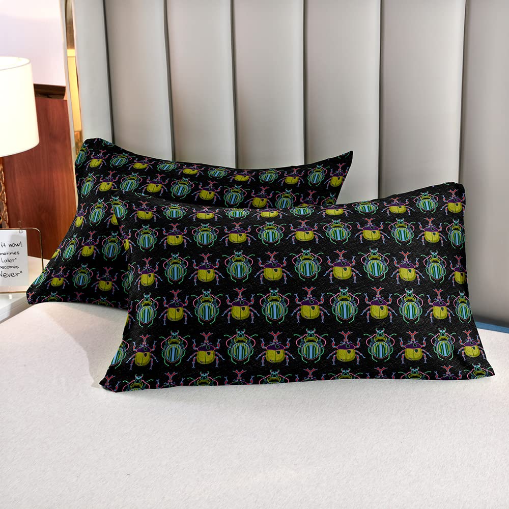 Abosbeet Green Beetle Print Fitted Sheet Queen Polyester Black Fitted Sheet Set with Beetle Pattern 2 Pillowshames Kids Bedroom Decor