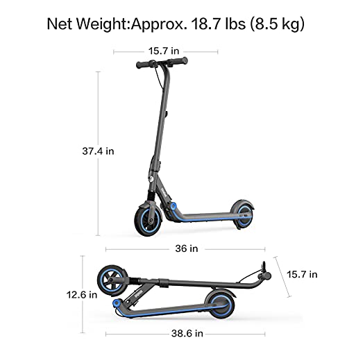 Segway Ninebot eKickScooter ZING E10 Electric Kick Scooter for Kids and Teens, Lightweight and Foldable, New Cruise Mode, Dark Grey