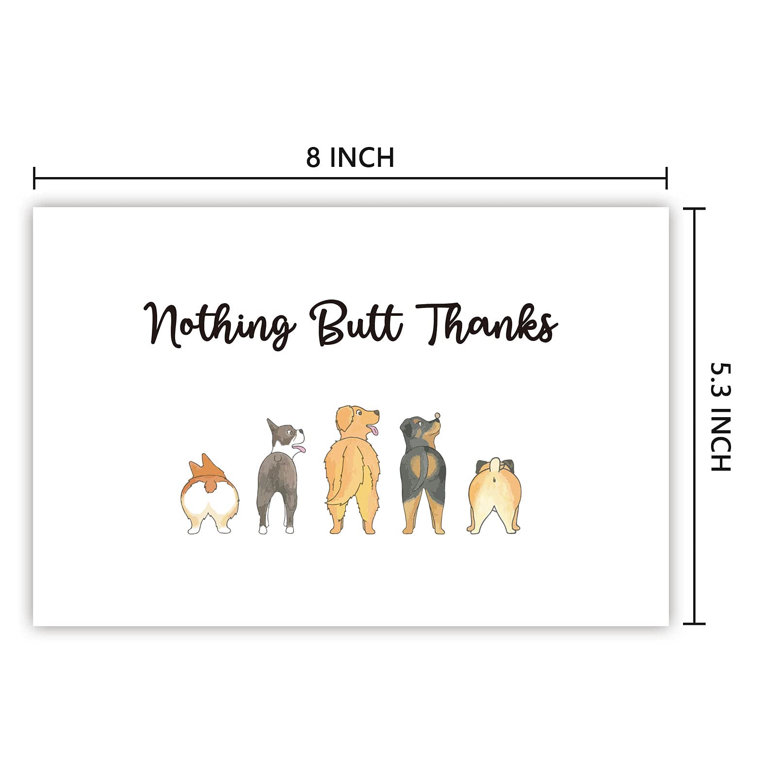 Kirynurd Nothing Butt Thanks, Cute Funny Thank You Card, Thanks Card for Anyone, Thanksgiving Day Card