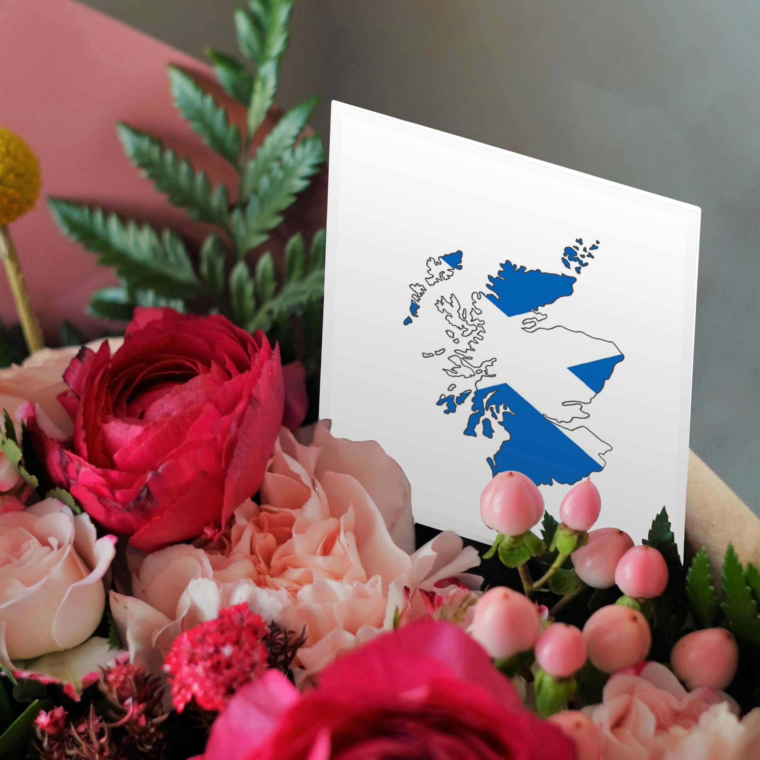 3dRose Greeting Card - Scotland Rugby Fan Saltire Flag Map - Taiche - Vector Art - Scotland Flag Map