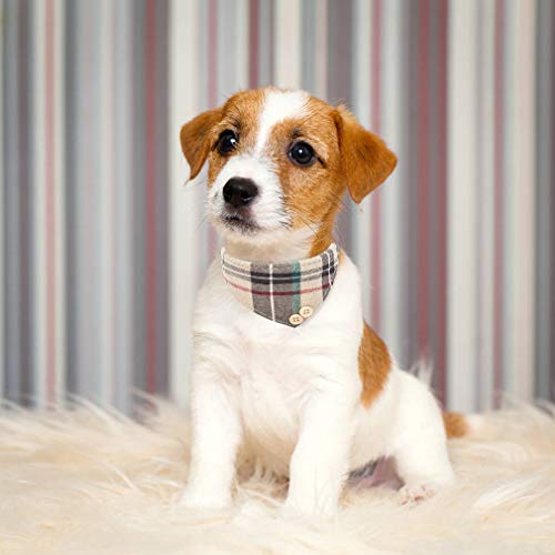 EXPAWLORER Dog Collar and Leash Set - Classic Plaid Dog Bow Tie and Dog Bandana Collar with Bell, Dog Leash Tangle Free, Adjustable Collars for Small Medium Large Dogs Cats, Holiday Ideal Gift