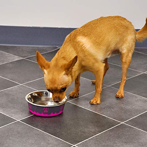 Maslow Design Series Non-Skid Paw Design Bowl, Pink 13 oz/1.625 Cup