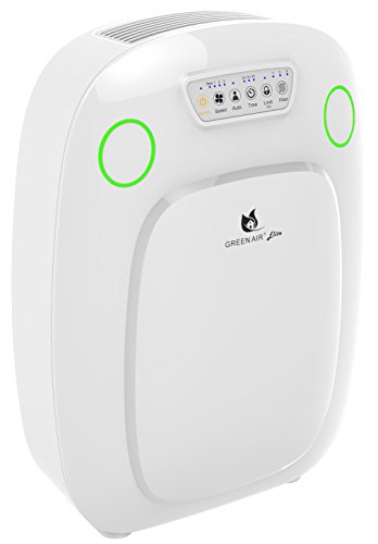 Green Air Elite HEPA and Odor Fighting Filter Air Purifier with IonCluster Technology for Large Rooms, HEPA, Carbon, and Charcoal filter for allergies, pets, odors, mold, dust, germs, smoke, 600 sq ft
