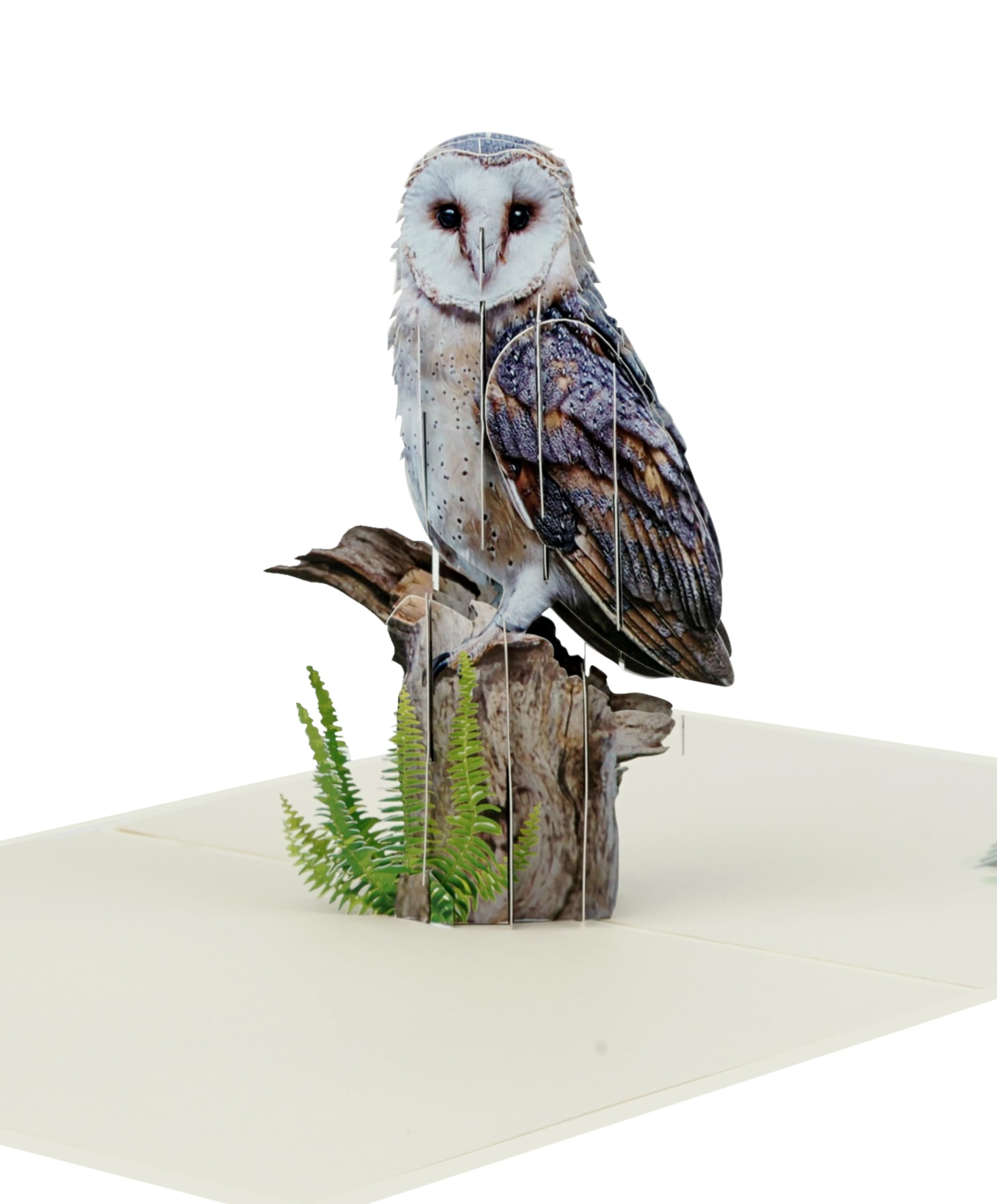 iGifts And Cards Majestic Owl 3D Pop-Up Greeting Card - 6"x8" Enchanting Forest Whispers Gift, Fun Present for Animal and Nature Lovers, Unique Ideas for Birthday, Graduation, Housewarming