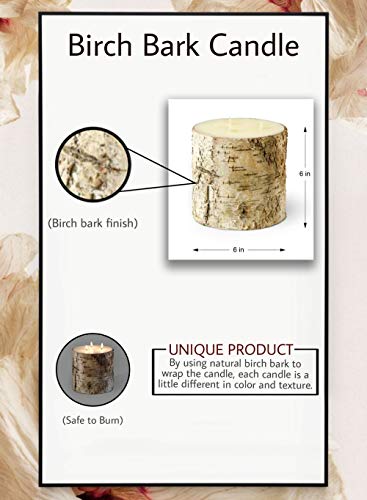 Serene Spaces Living Birch Bark Candle β Pillar Style Candle Brings Nature Indoors, Ideal for Weddings, Parties, Events, Restaurants, Home Decor, 6" in Diameter & 6" Tall