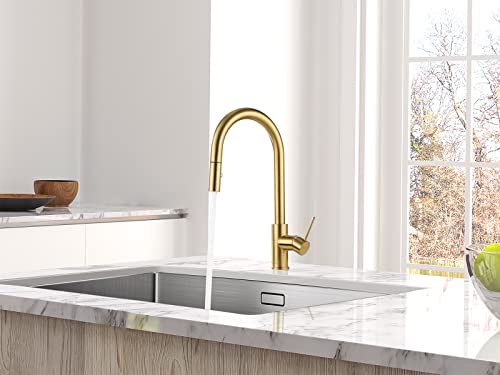 AguaStella AS60BG Brushed Gold Pull Down Kitchen Faucet and ASD52BG Brushed Gold Deck Plate Combination