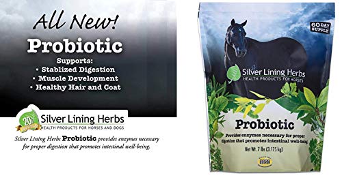 Silver Lining Herbs Horse Probiotic - Micro Encapsulated Probiotics for Equine Digestive Support and a Healthy Gut - Natural Source of Beneficial Bacteria and Enzymes - 7 lb Bag