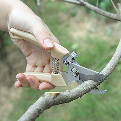 AKOAK 1 Pack Gardening Trimmers, Scissors, Fruit Trees, Branches, Flowers, Plant Cutters, Bonsai Scissors, Grafting, Gardening Hand Tools