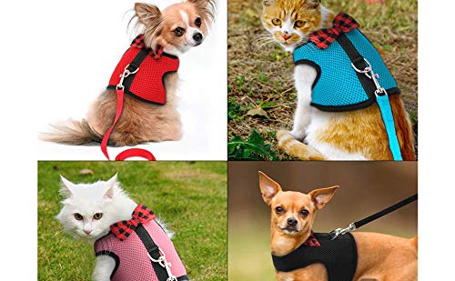sonicbee Multipurpose Rabbits Hamster Vest Harness with Leash Bunny Mesh Chest Strap Harnesses Ferret Guinea Pig Small Animals Pet Accessories (L, Blue)