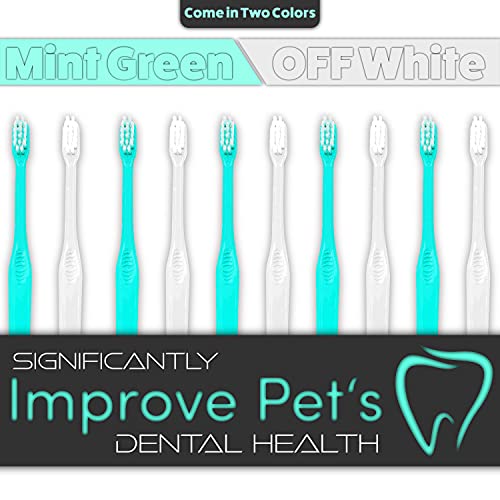 H&H Pets Dog Toothbrushes from Large to Small| Best Professional Dog Cat Toothbrush Series with Many Design & Size Options Breeds
