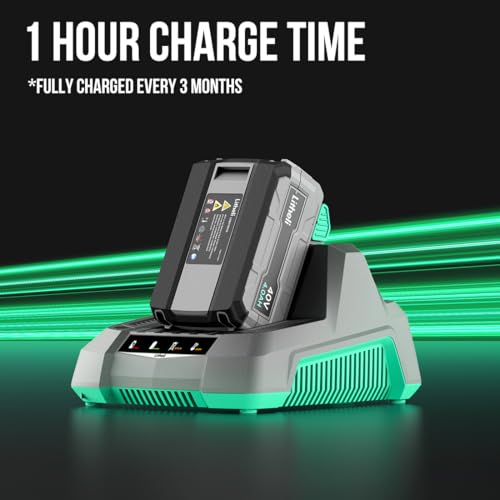 Litheli 40V 4.0AH Lithium Ion Battery Pack,Only for Litheli 40V Tools.