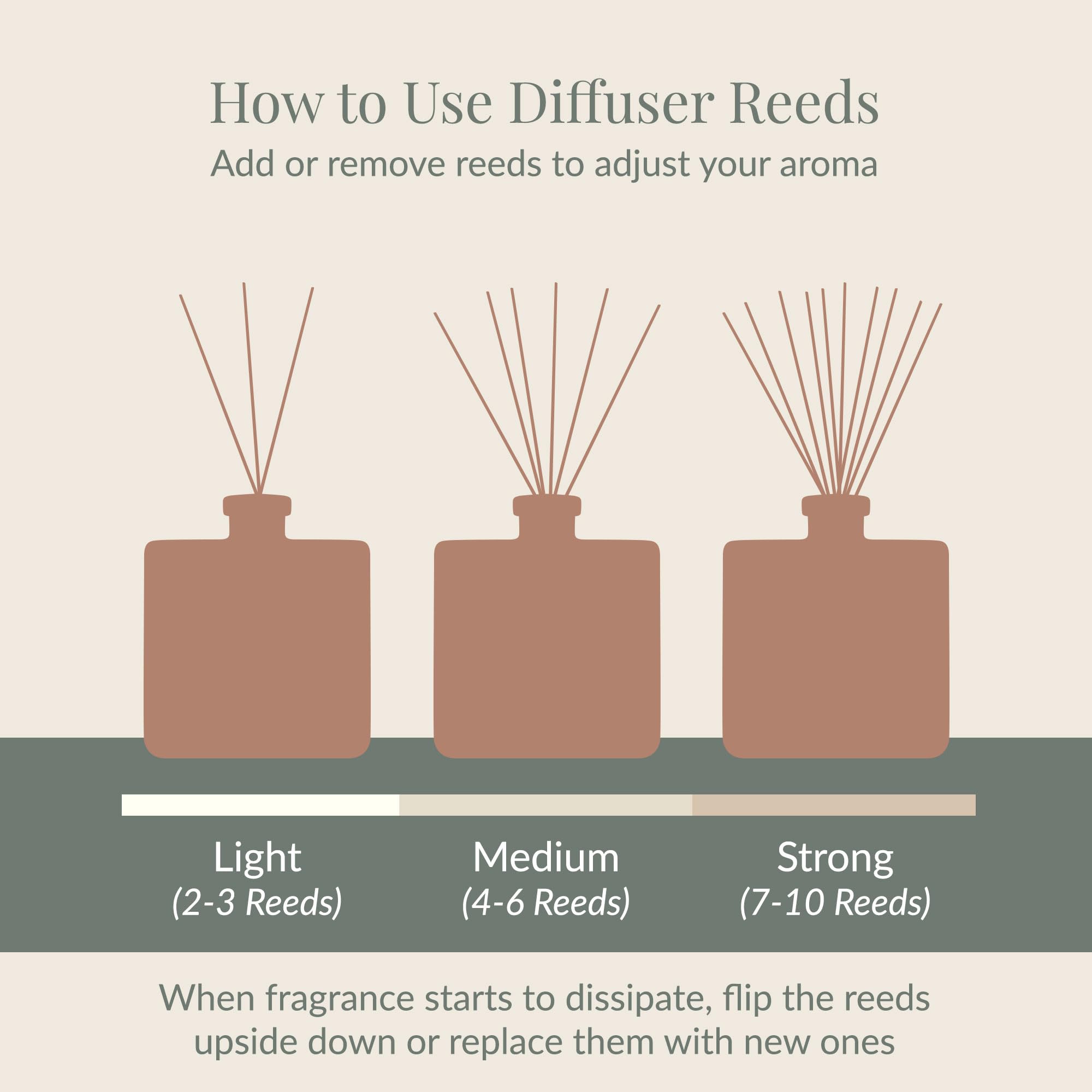 Archipelago Botanicals Charleston Reed Diffuser, Home Fragrance Reed Diffuser, Includes Fragrance Oil, Frosted Glass Vessel & 10 Diffuser Reeds, Perfect for Home, Office or Gift, 7.6 Fl Oz