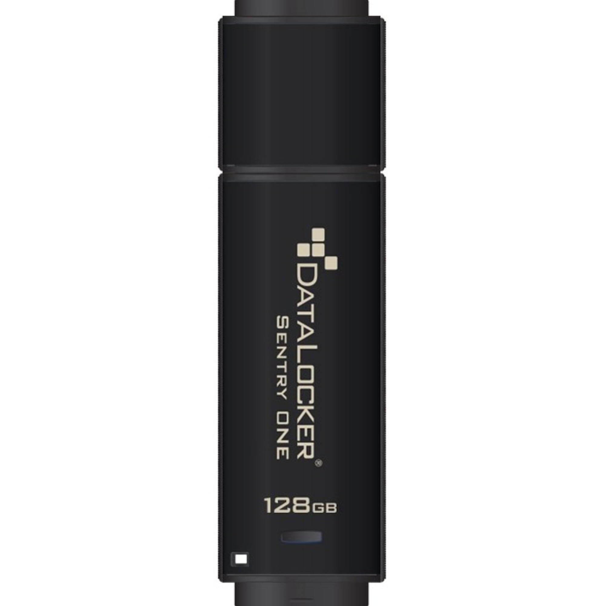 DataLocker Data Locker Sentry ONE Encrypted Flash Drive - 128 GB - USB 3.1-256-bit AES - TAA Compliant