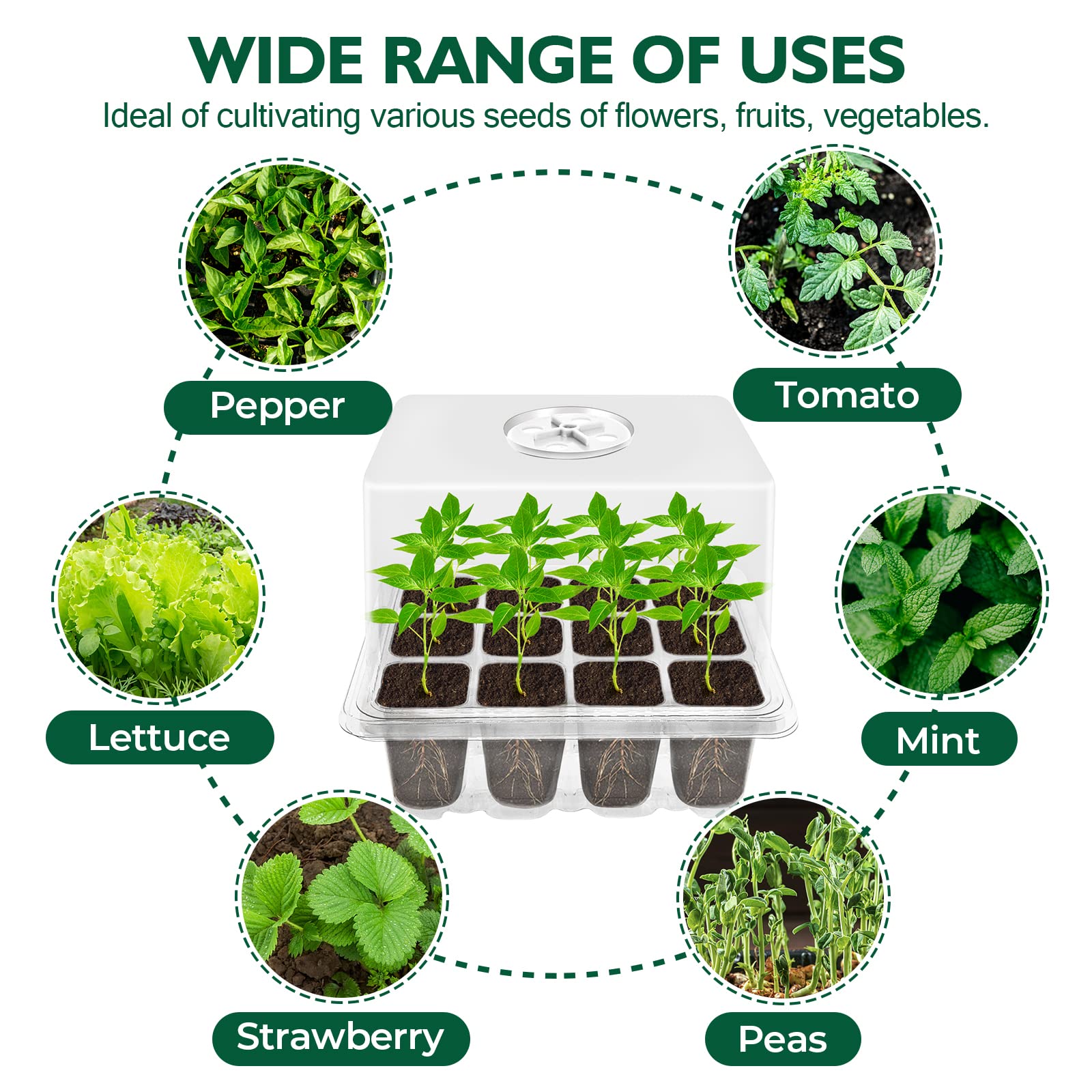 5 Packs Seed Starter Tray 60 Cell Seed Starter Kit, Plant Starter Growing Trays with Humidity Adjustable Dome and Base, Reusable Mini Greenhouse Plant Germination Tray for Indoors Seeds Sprout Growing