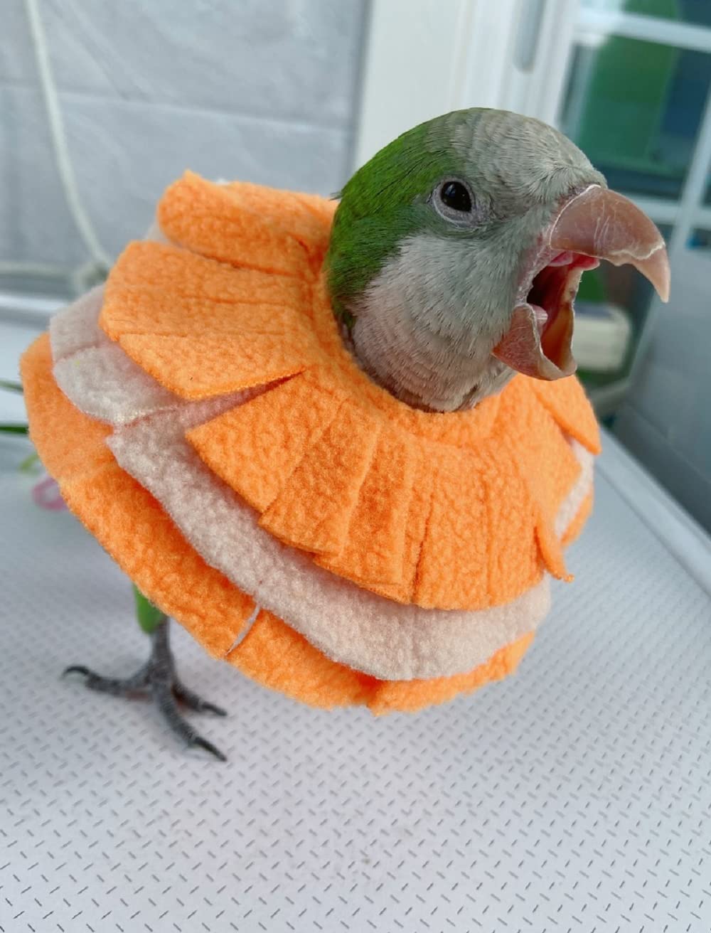 Adjustable Parrot Cone Collar, Safe and Practical Cotton Collar to Prevent Bites and Licking Wounds, to Help heal (4XL)