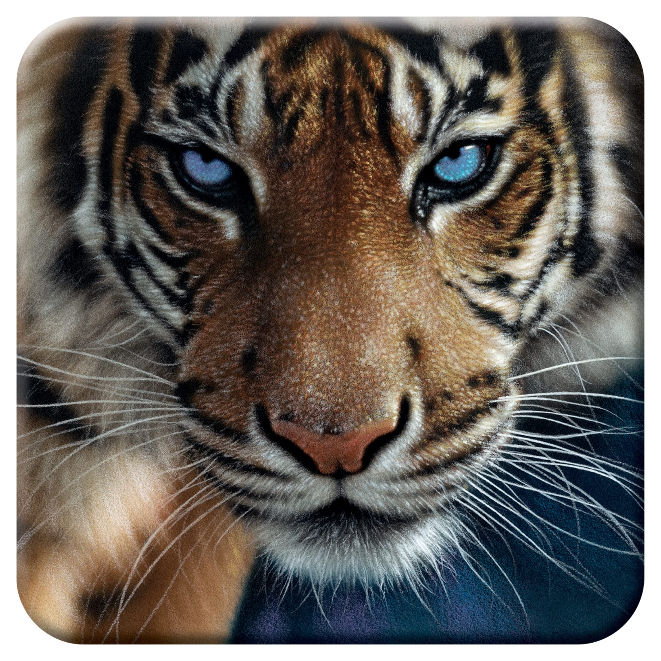 3D LiveLife Cork Coaster - Blue Eyes from Deluxebase. Lenticular 3D Cork Tiger Coaster. Non-slip drink Coaster with original artwork licensed from renowned artist, Collin Bogle