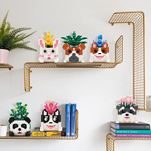 DOLBLOCK Succulent Bonsai Botanical Collection Decor Building Set Architecture Model Kit with Flower Plant Animal for Adults Creative DIY Gifts Toys