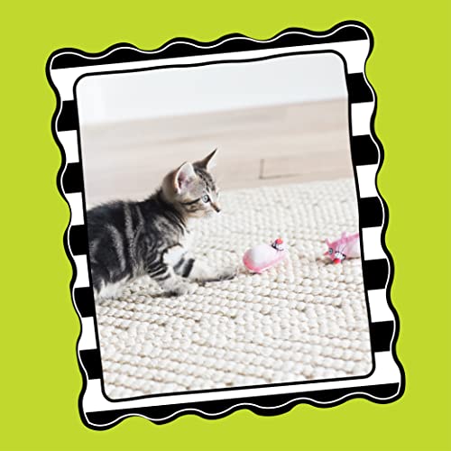 Doskocil Bamboo Pet CAM650384 Fat Cat Kitty Hoots Eeeks Chic Catnip Toy, Multicolor