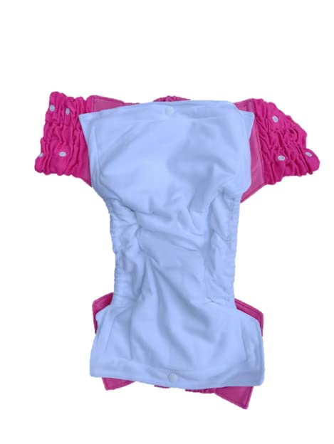 Night time Washable Cloth Pull up Diapers for Toddlers and preschoolers, Ages 2 Years to 6 Years (Pink, Small (2-4 Years))