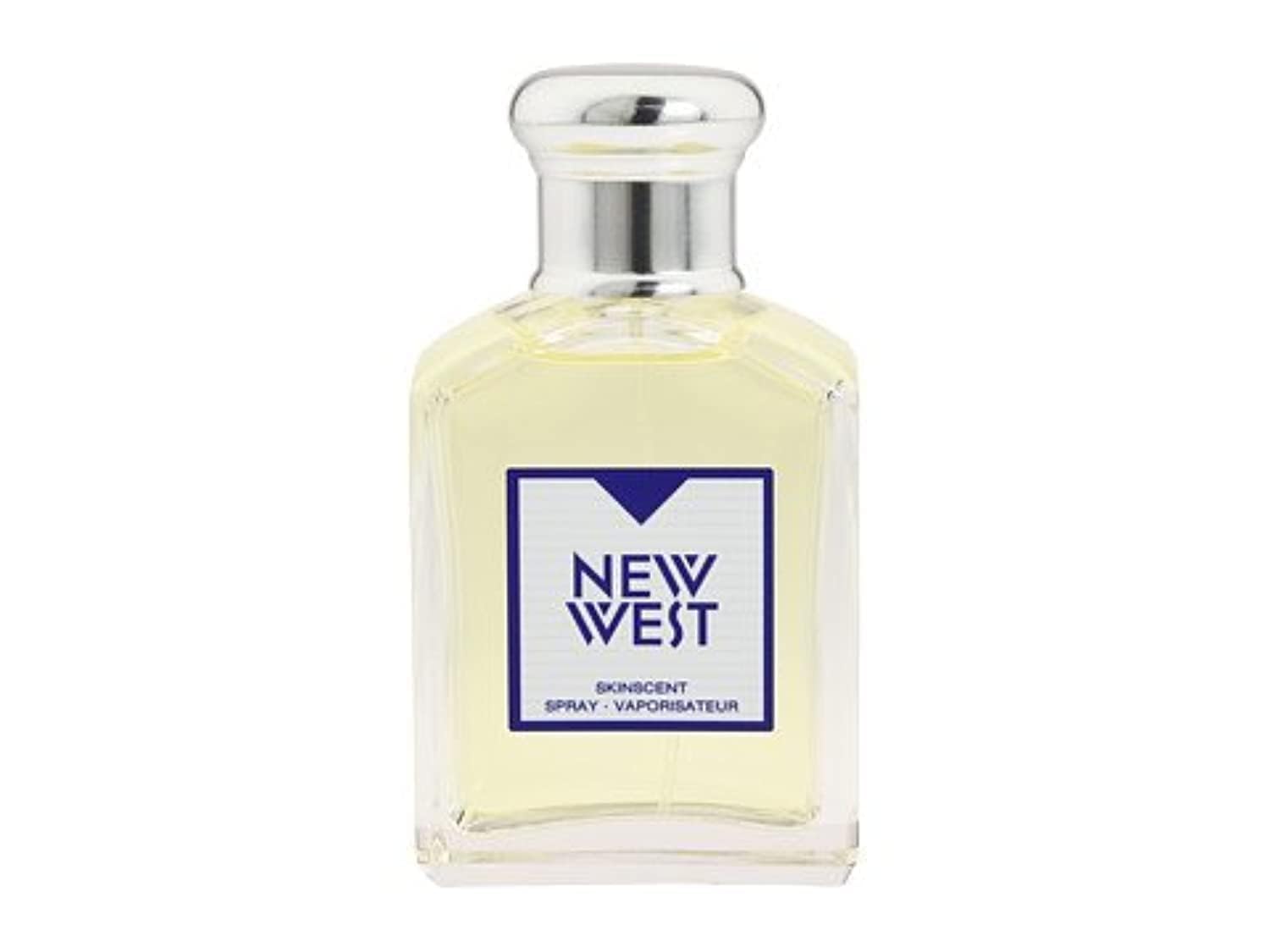 Aramis New West Skinscent Spray, 3.4-Ounce