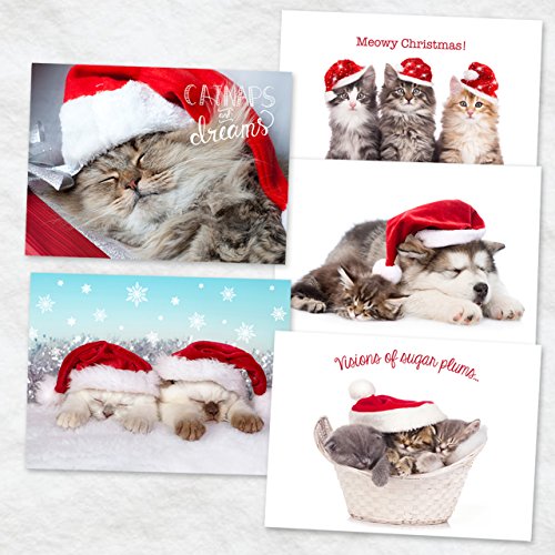 Christmas Cats Holiday Card Assortment Pack / 25 Seasonal Kitten Greeting Cards And Envelopes / 5 Sleeping Santa Animal Designs And Christmas Messages
