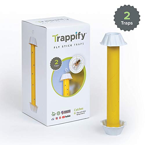 Trappify Hanging Fly Traps Outdoor: Fruit Fly Traps for Indoors | Fly Catcher, Gnat, Mosquito, & Flying Insect Catchers for Inside Home - Disposable Sticky Fly Trap for Indoor House Pest Control (2)