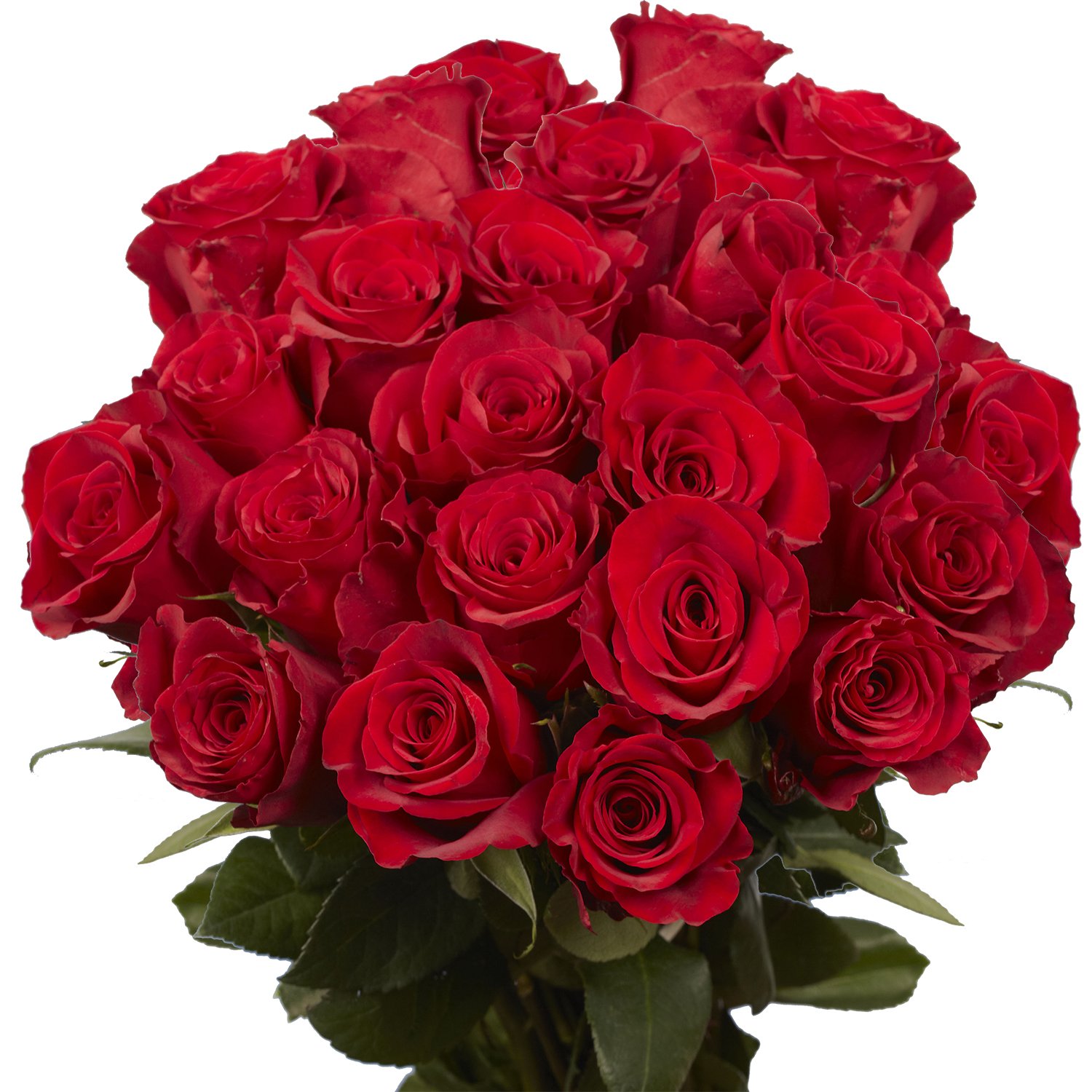 50 Red Roses- Fresh Cut Flowers- Beautiful Long Stems