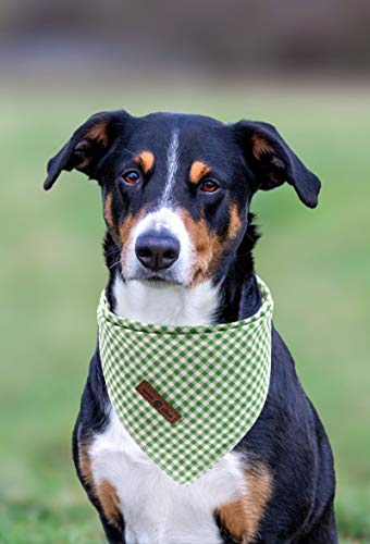 Lionet Paws Dog Bandana for Small Medium Large Dogs, Cat Dog Kerchief Dog Triangle Bibs Scarf for Girl or Boy