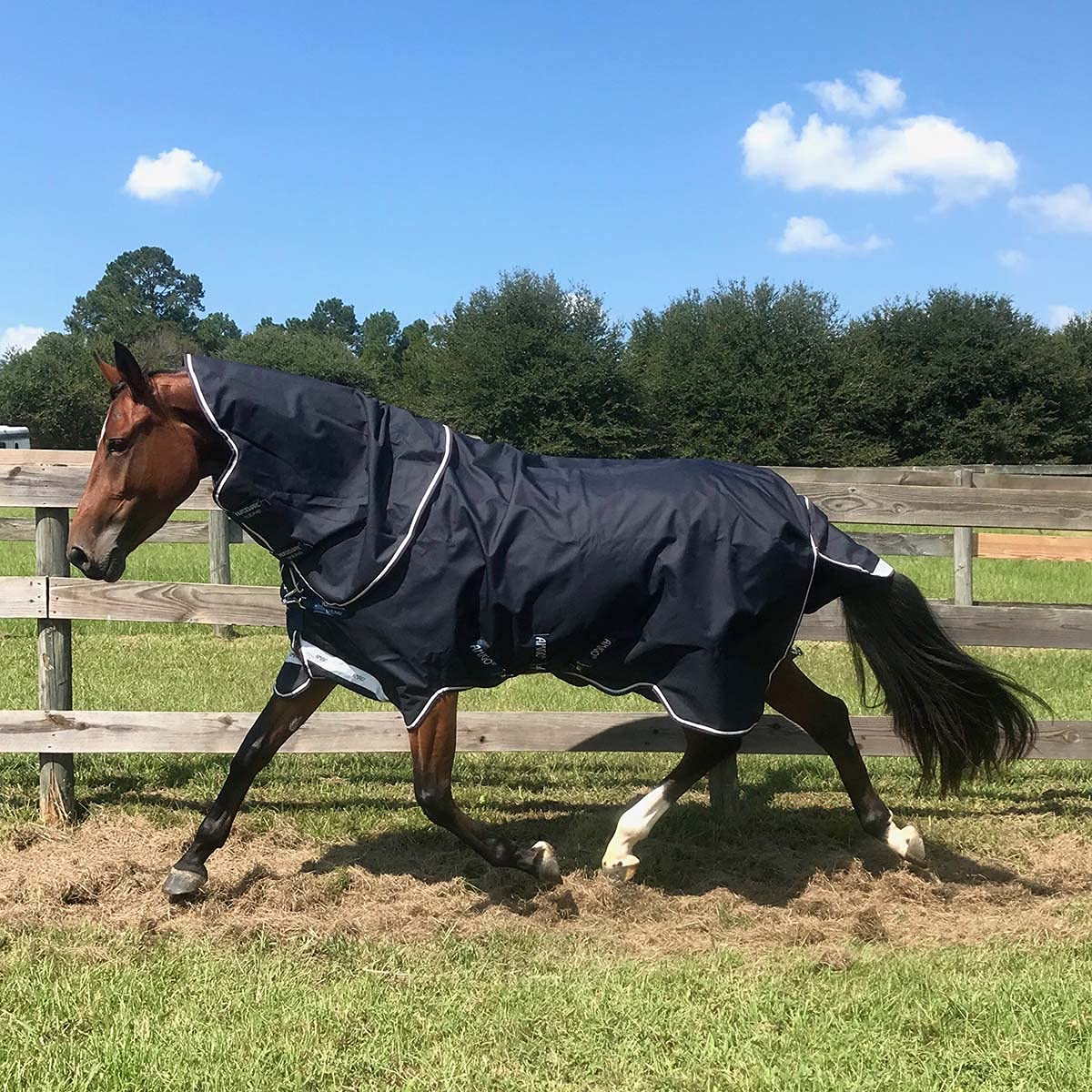 Horseware of Ireland Amigo Bravo 12 Plus Turnout - Medium Weight (Navy/Plum/Silver, 81)