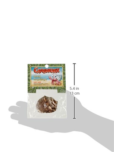 Crabworx Shell, Large