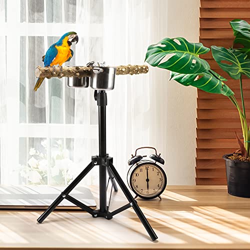 Adjustable Height Bird Perch Stand 43 INCH Parrot Training Perches Metal Bird Play Stand with Feeding Bowls for Small Birds Indoor and Outdoor