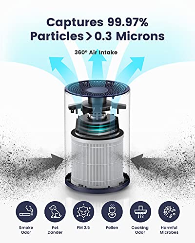 TCL Air Purifier for Home Room Bedroom True H13 HEPA Air Filter Remove 99.97% Smoke Odor Pet Dander Dust Pollen Mold Air Cleaner Metal Design with Night Light
