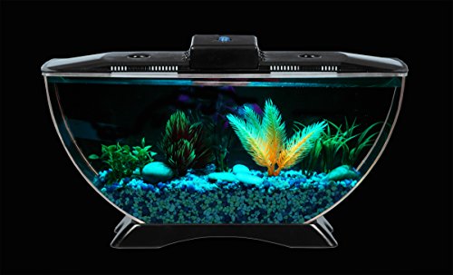 BettaTank 1-Gallon Deco Fish Tank with LED Lighting