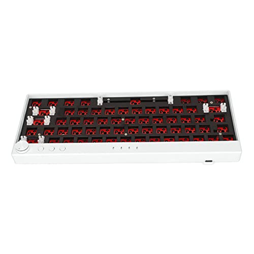 61 Keys Mechanical Keyboard DIY Kit, RGB Backlight Mechanical Keyboard Kit with Switch Hot Swap, Custom Mechanical Gaming Keyboard Kit for Home, Office(White)