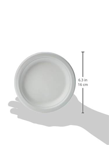 Amazon Basics Compostable Plates, 6-Inches, 125 Count