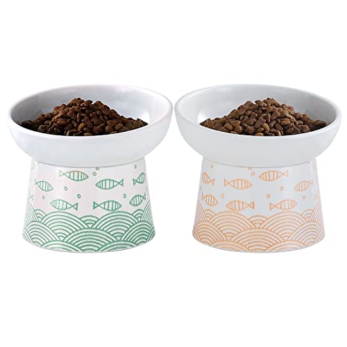 Ceramic Raised Cat Bowls, Elevated Tilted Cat Food and Water Bowl Set, Porcelain Stress Free Pet Feeder Dish for Cats and Small Dogs, Dishwasher and Microwave Safe, Set of 2