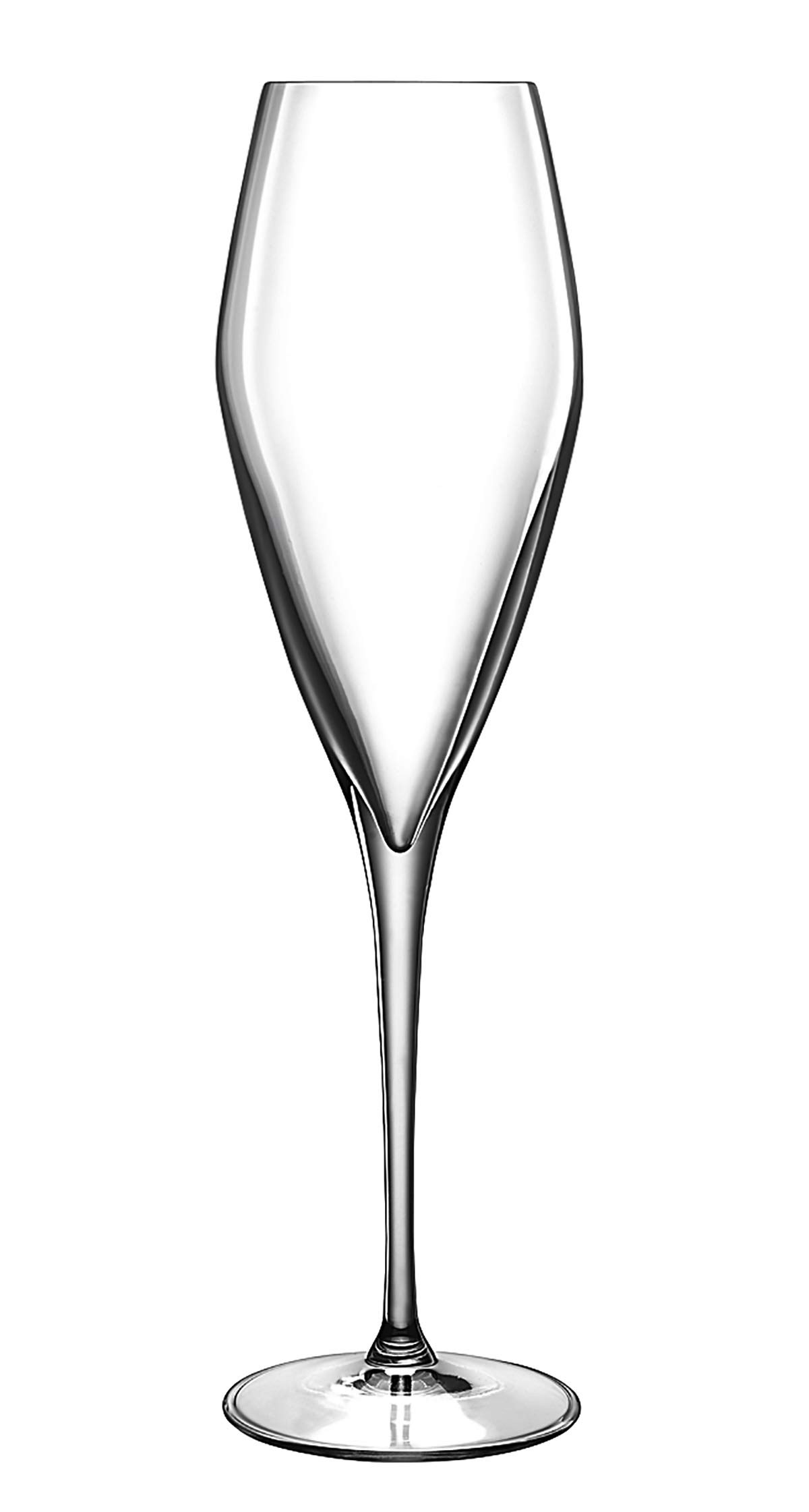 Luigi Bormioli - 08748/07 Luigi Bormioli Atelier 9.25 oz Champagne Glasses, Set of 6, Clear