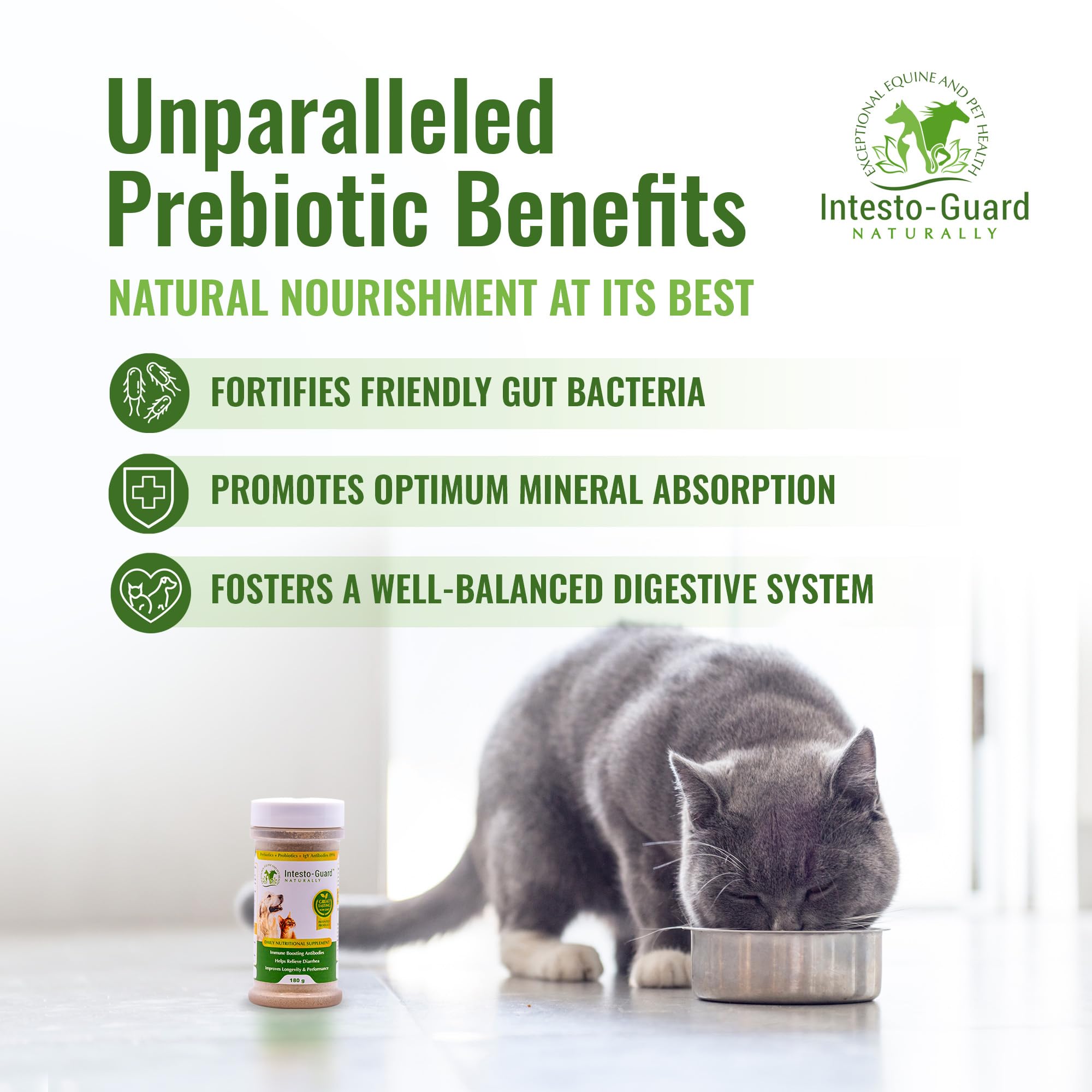 Powder Probiotics 90 Scoops for Dogs & Cats Bowel Digestive Immune Support Supports Gut Flora Nutrition Immunity 180G Bottle - 90 Scoops (Powder)