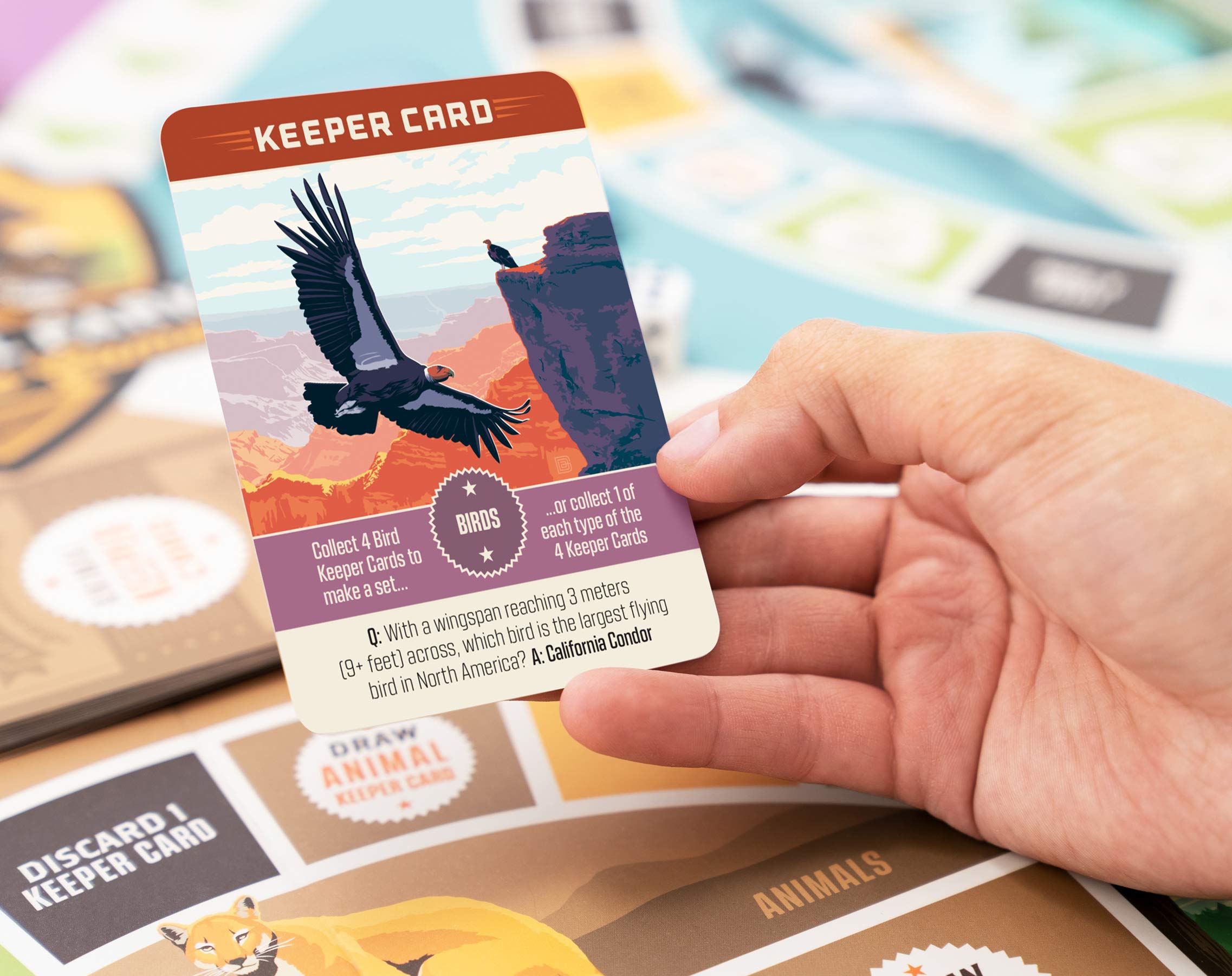 Americanflat National Park Adventure Board Game for Family and Kids Ages 7 & Up, 2-6 Players with Artwork by Anderson Design Group